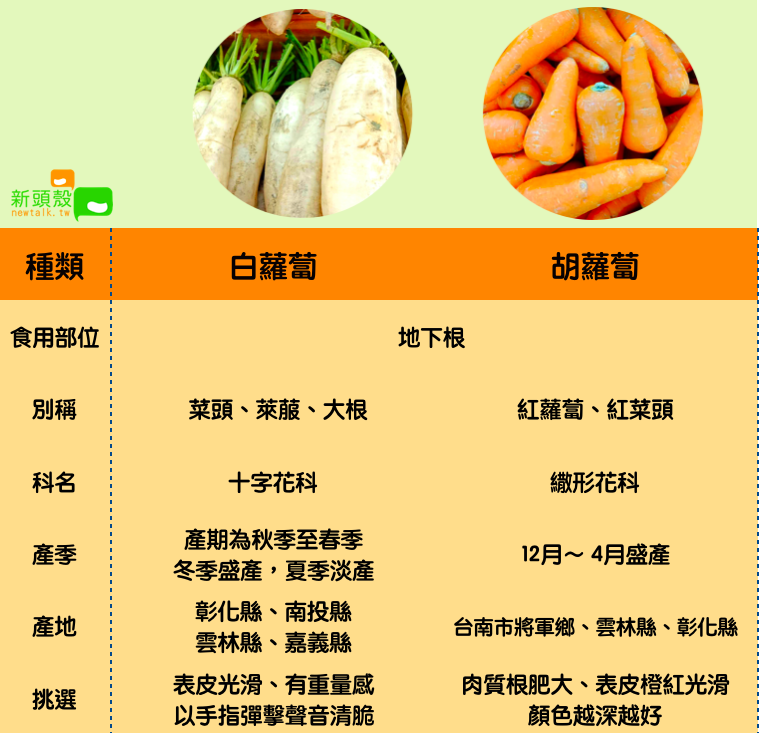 別再誤會了胡蘿蔔白蘿蔔真的不是親戚 生活 Newtalk新聞