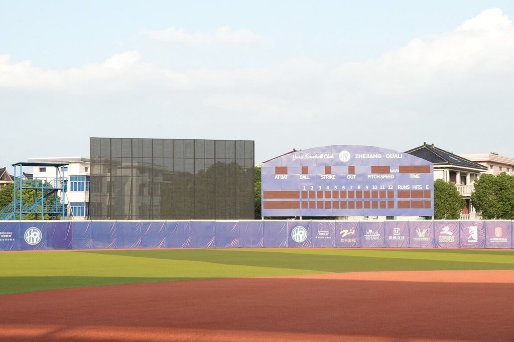 辜仲諒為推動亞洲棒球 爭取連任WBSC執行副會長 | 體育 | Newtalk新聞