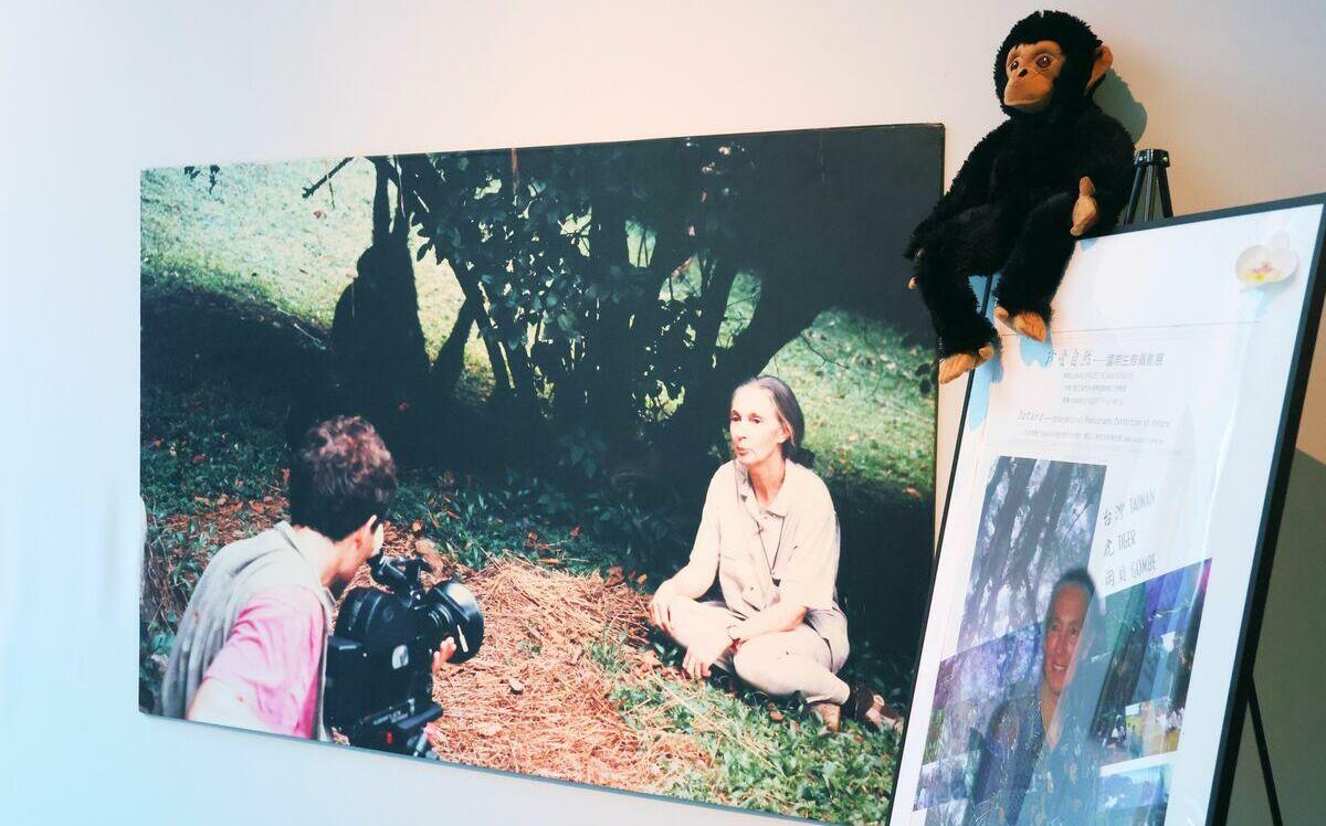 《珍與科博》紀念展開幕！珍古德博士與科博館三十年情緣再現 | 生活 | Newtalk新聞