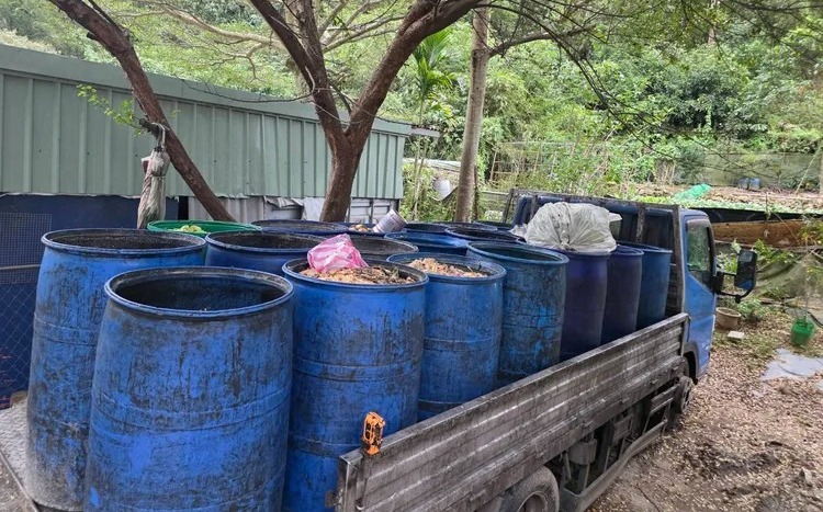 新北泰山養豬場偷餵廚餘！最高罰400萬 再違規將連續開罰 | 社會 | Newtalk新聞