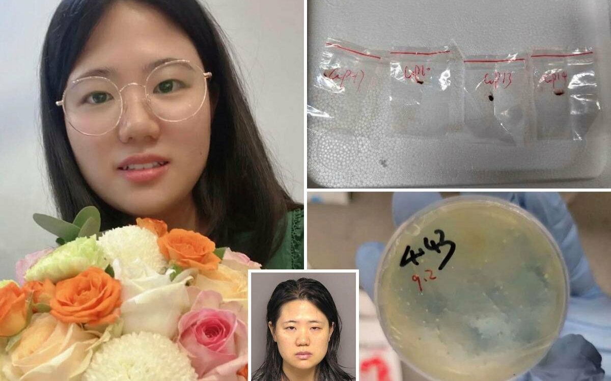 中國研究員走私「嘔吐毒素」真菌入美 對FBI說謊下場曝：刑滿即刻遣返 | 國際 | Newtalk新聞