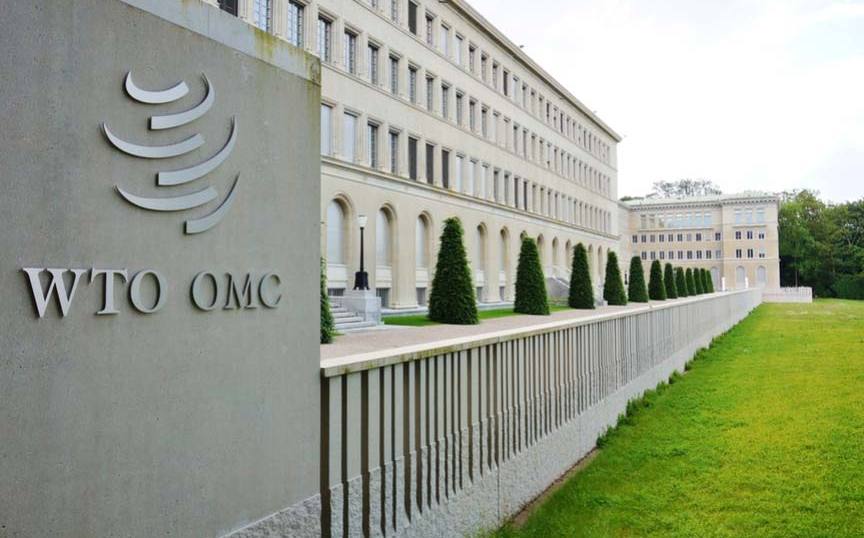 WTO改革 學者：對台灣重要性遠大於他國 | 國際 | Newtalk新聞