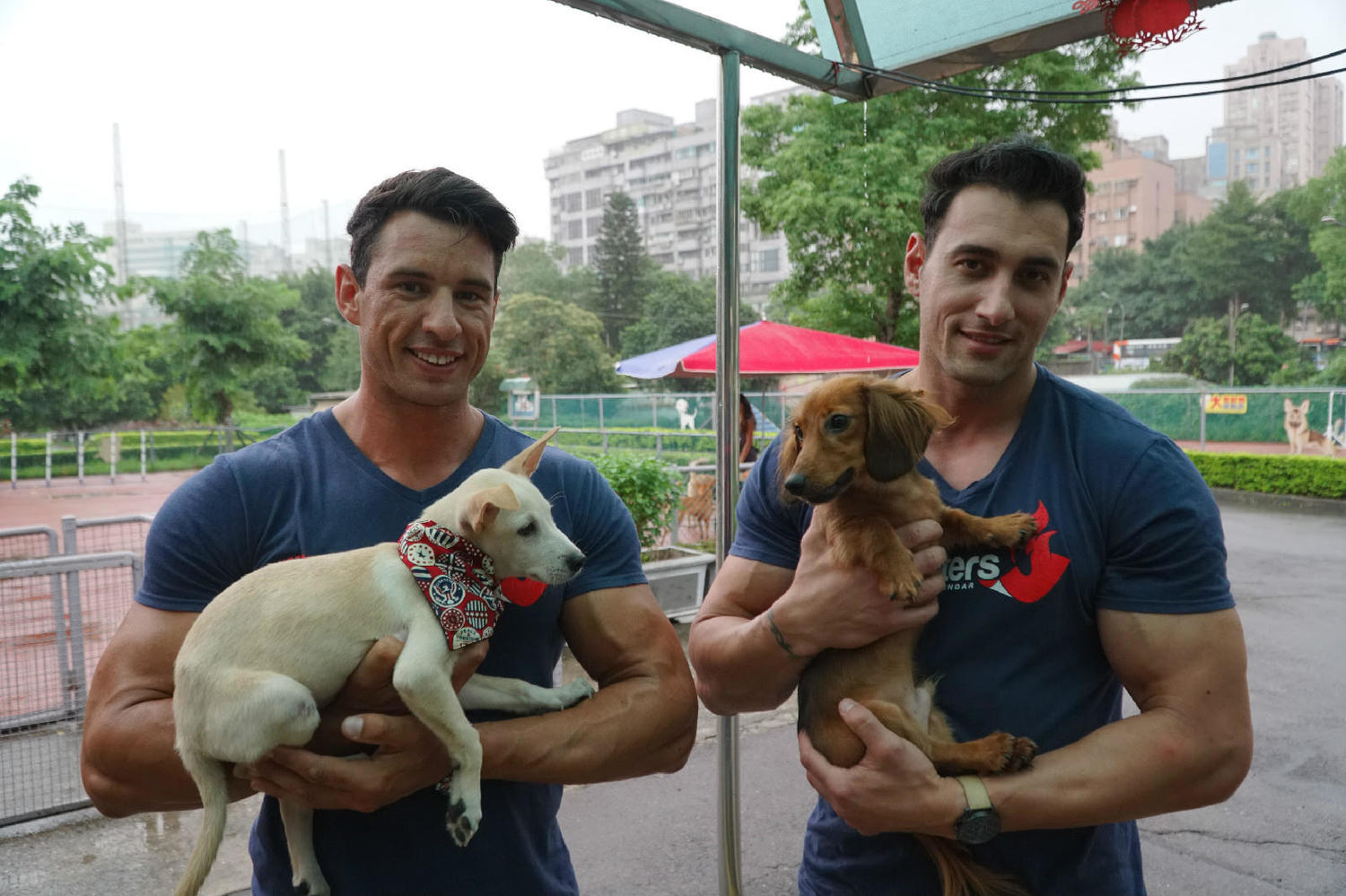 動物之家展現動保成果 澳洲猛男：令人驚艷！ | 生活 | Newtalk新聞