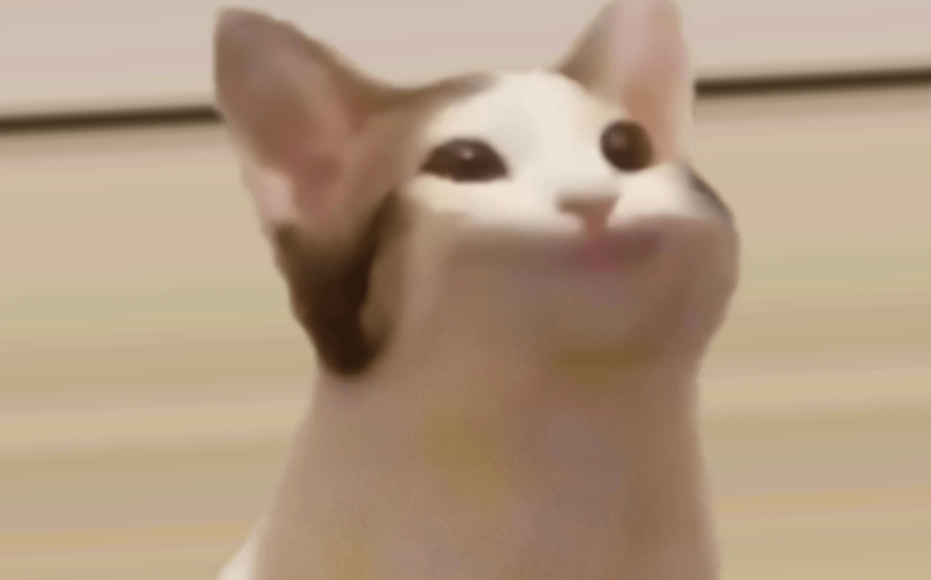 再摘一金！台灣榮登《POPCAT》全球冠軍 | 電競 | Newtalk新聞