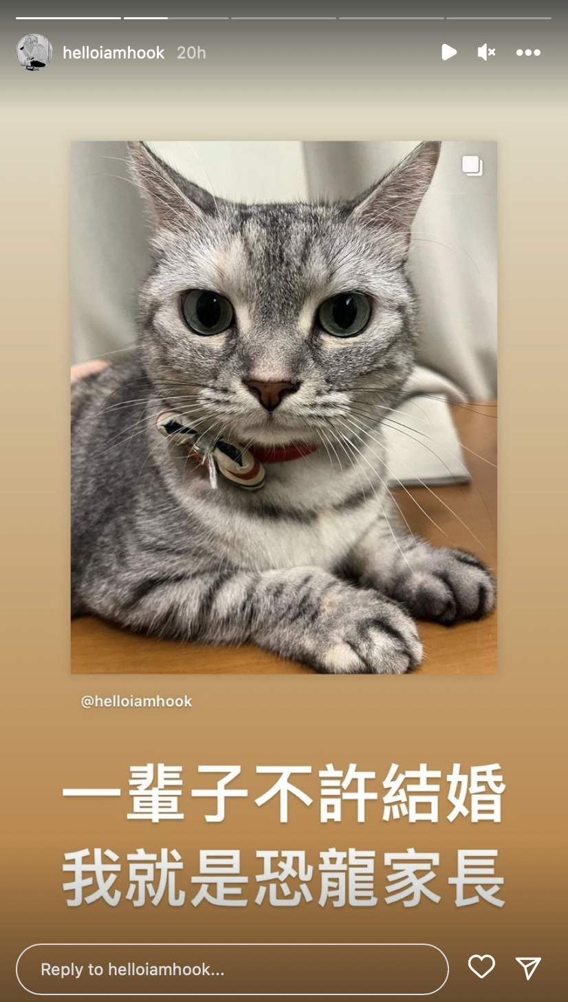 網紅HOOK貓奴上線！狂喊可愛網虧：這是公開帳號欸 | 網紅 | Newtalk新聞