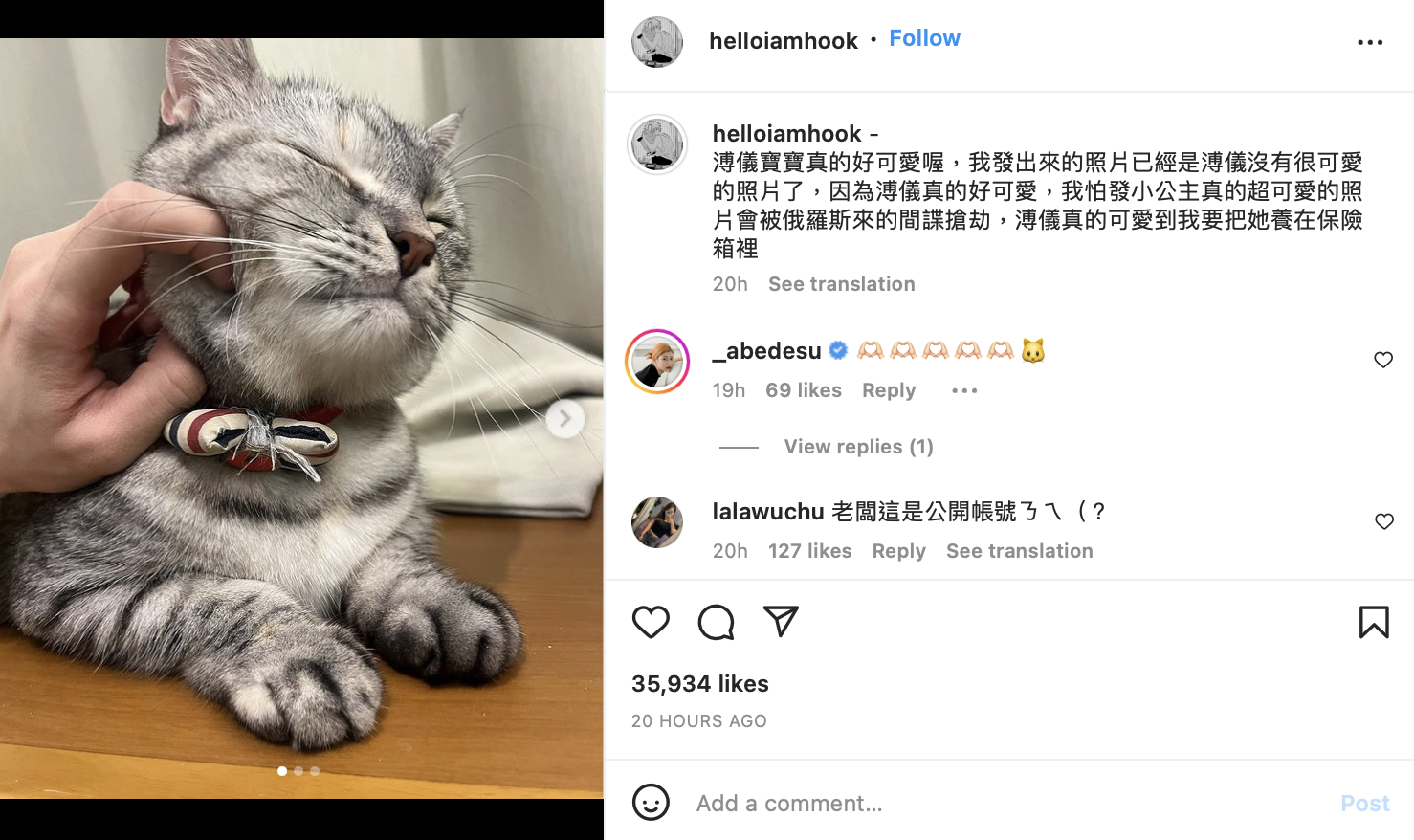 網紅HOOK貓奴上線！狂喊可愛網虧：這是公開帳號欸 | 網紅 | Newtalk新聞