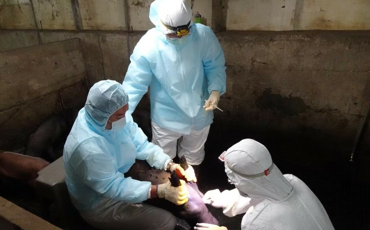 全台第2例！中部7歲女童驗出H1N2v流感病毒 疾管署：應為散發病例 | 生活 | Newtalk新聞