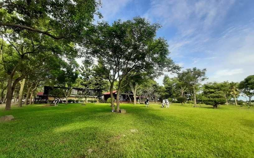 感受台東之美！12/15前「台灣好行–鹿野慢漫遊」套票優待200元 | 旅遊 | Newtalk新聞