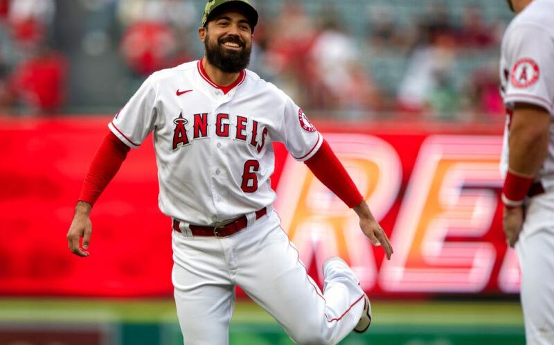 直言Rendon遭低估 天使GM:他將復活 | 體育 | Newtalk新聞