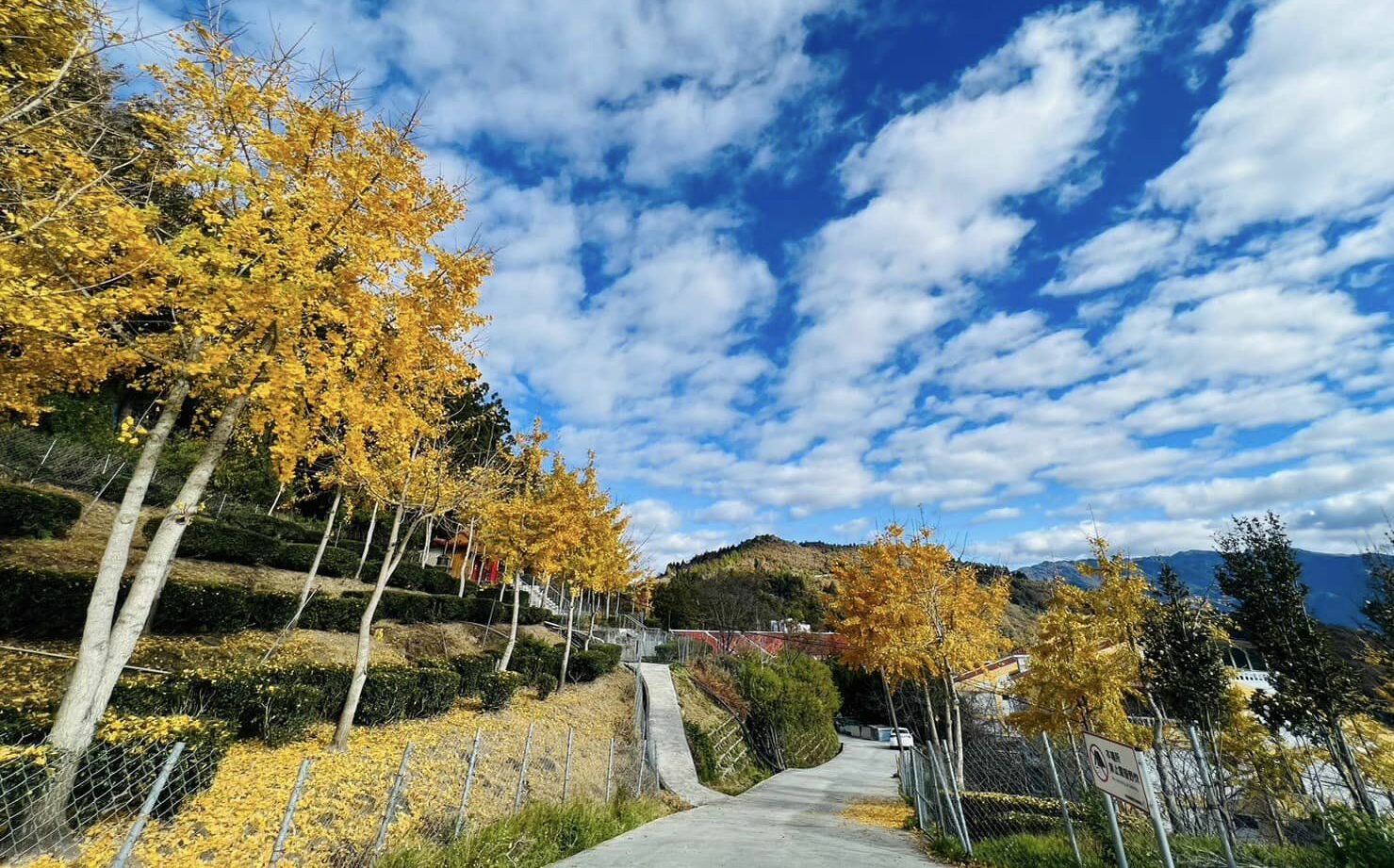 228連假「3景點」恐塞爆！公總公布3大避塞車時段 | 生活 | Newtalk新聞