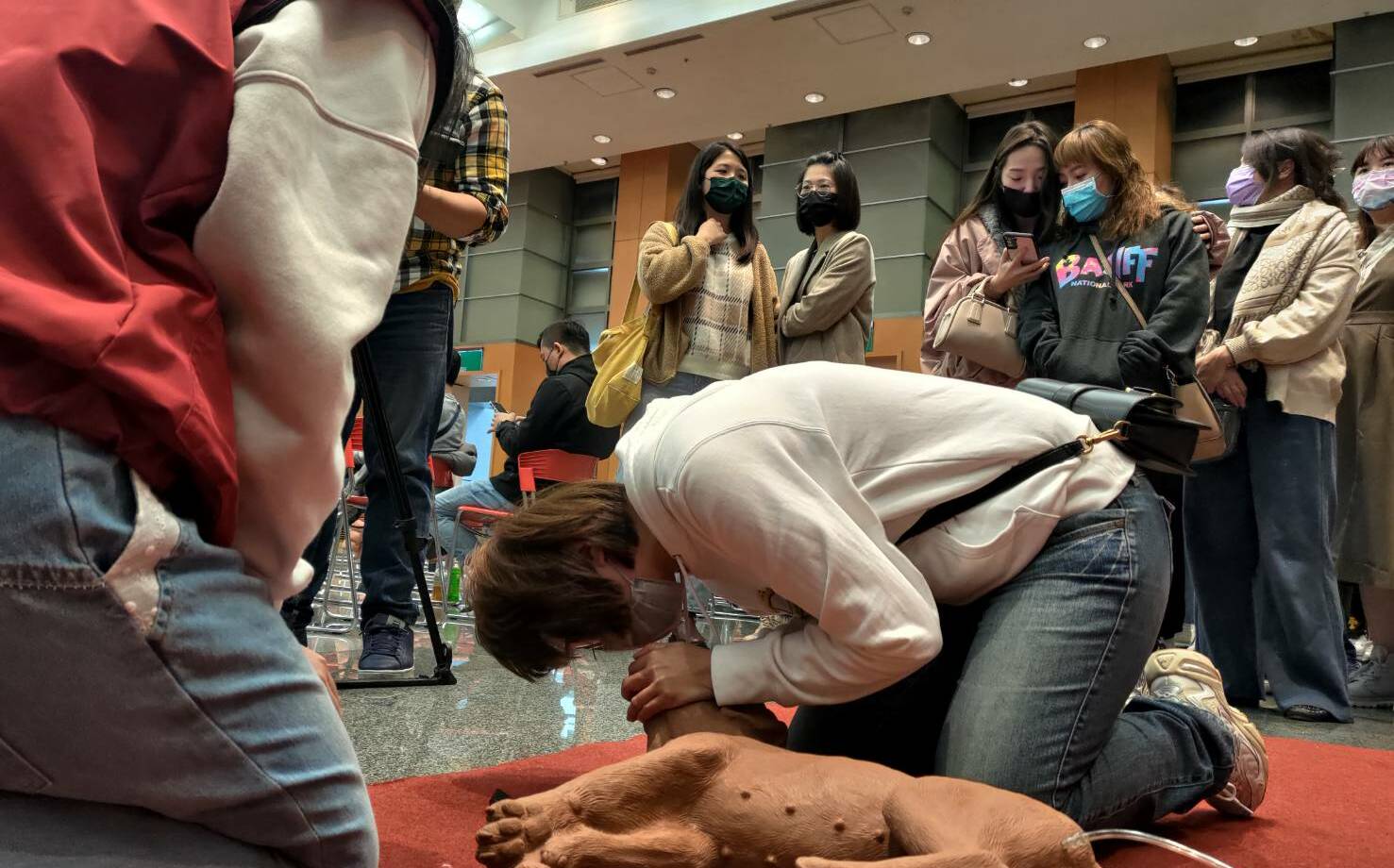 新北推寵物CPR認證 400家寵物業者熱烈響應完成教育訓練 | 生活 | Newtalk新聞