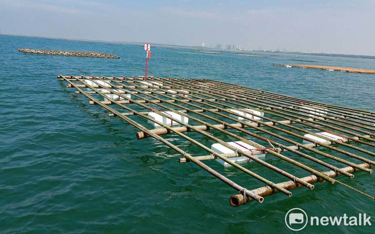 響應中央「向海致敬」政策 台南2年清理海漂物7000噸 | 生活 | Newtalk新聞