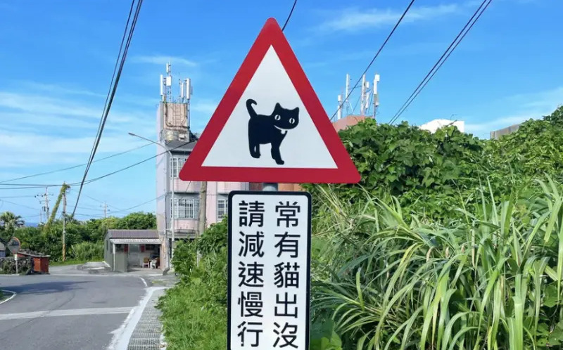 PO推特秒爆紅！日人來台見1號誌驚呼太可愛 | 新奇 | Newtalk新聞