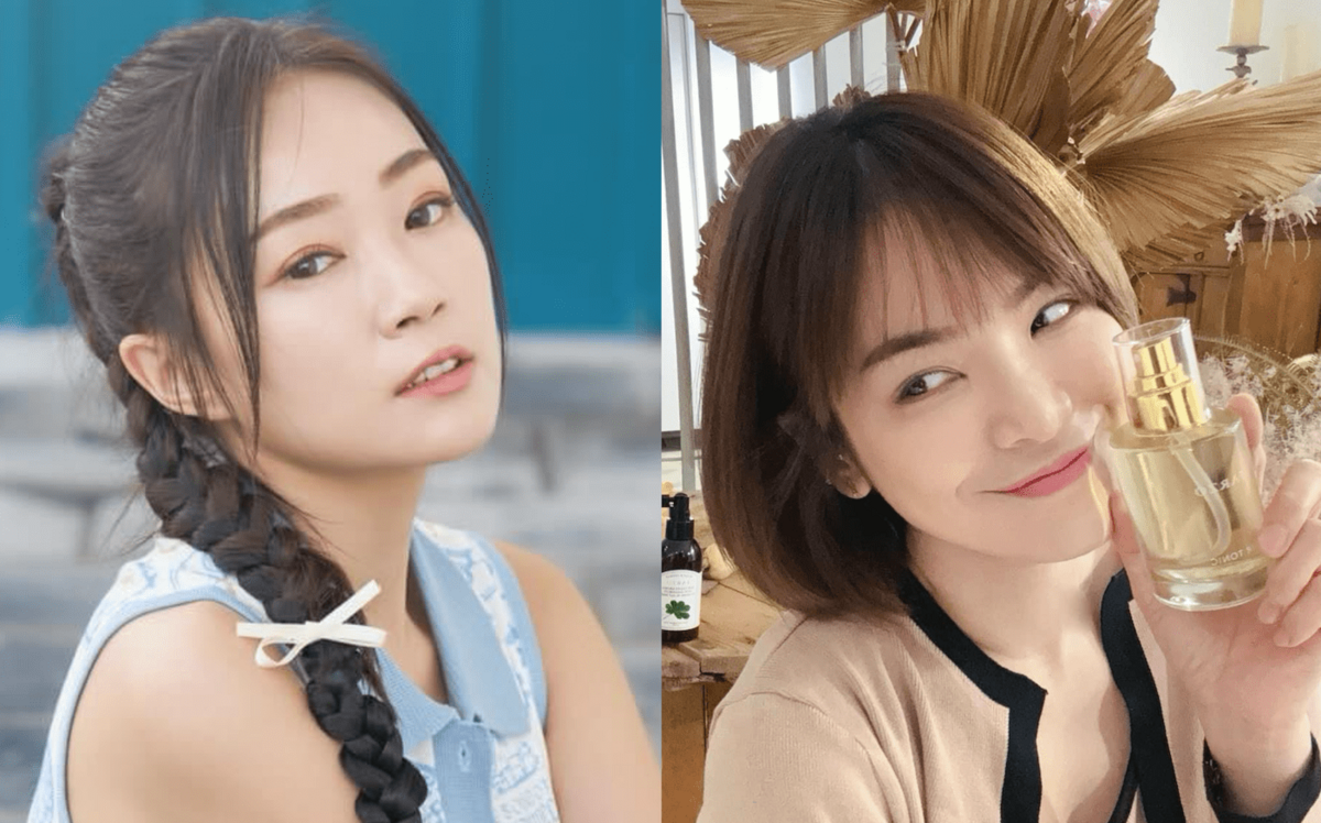 詹子晴否認「走後門」搶IU演唱會？陳沂揪1疑點批說謊 | 網紅 | Newtalk新聞