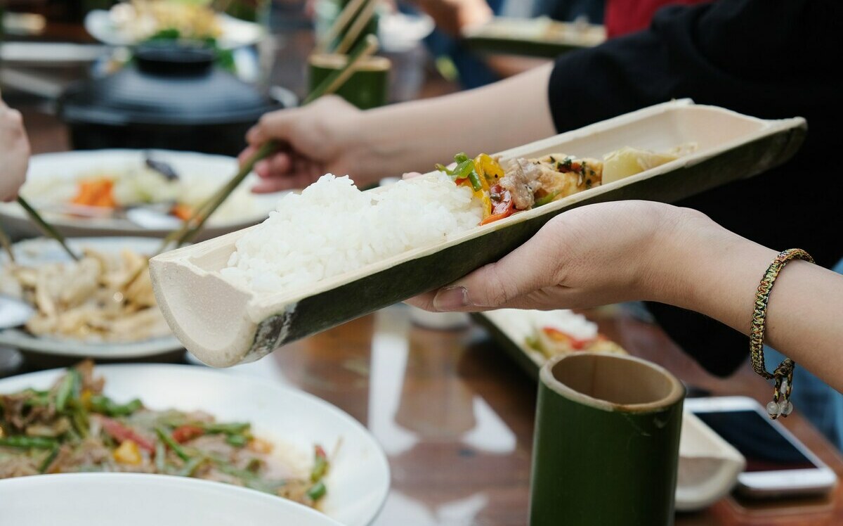 挖竹筍、夜遊森林！東眼山「竹藝文化」體驗活動4/20登場 | 旅遊 | Newtalk新聞