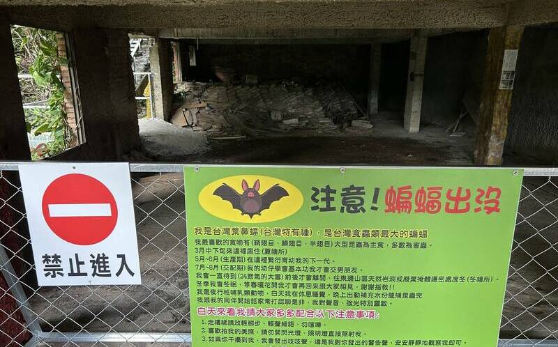 嚇到搬家！四面佛寺台灣葉鼻蝙遭驅趕600隻剩8隻 廟方：歷來最慘 | 生活 | Newtalk新聞