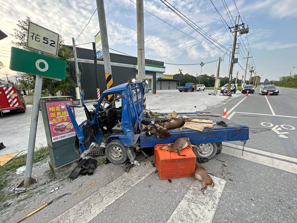 台9線貨車自撞2死2傷 車上有自製獵槍及死亡山羌 | 社會 | Newtalk新聞