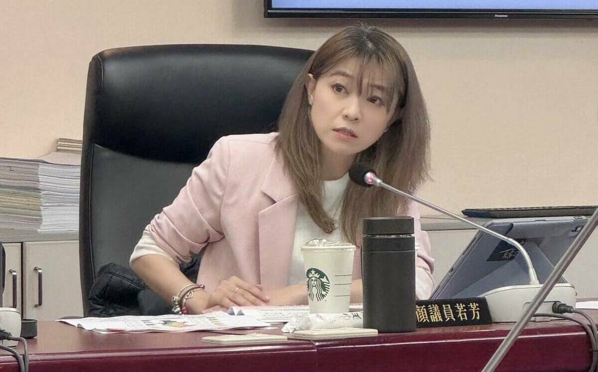 林國成飆罵賴清德「X你娘」惹議 顏若芳：民主不容踐踏 | 政治 | Newtalk新聞