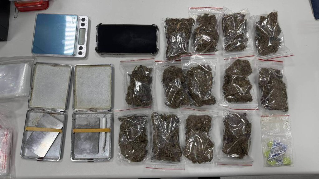 高檢署：全國查緝施用大麻黑數專案 245人到案 | 社會 | Newtalk新聞